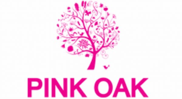 Project PINK BLUE – Stimulating Actions Against Cancer