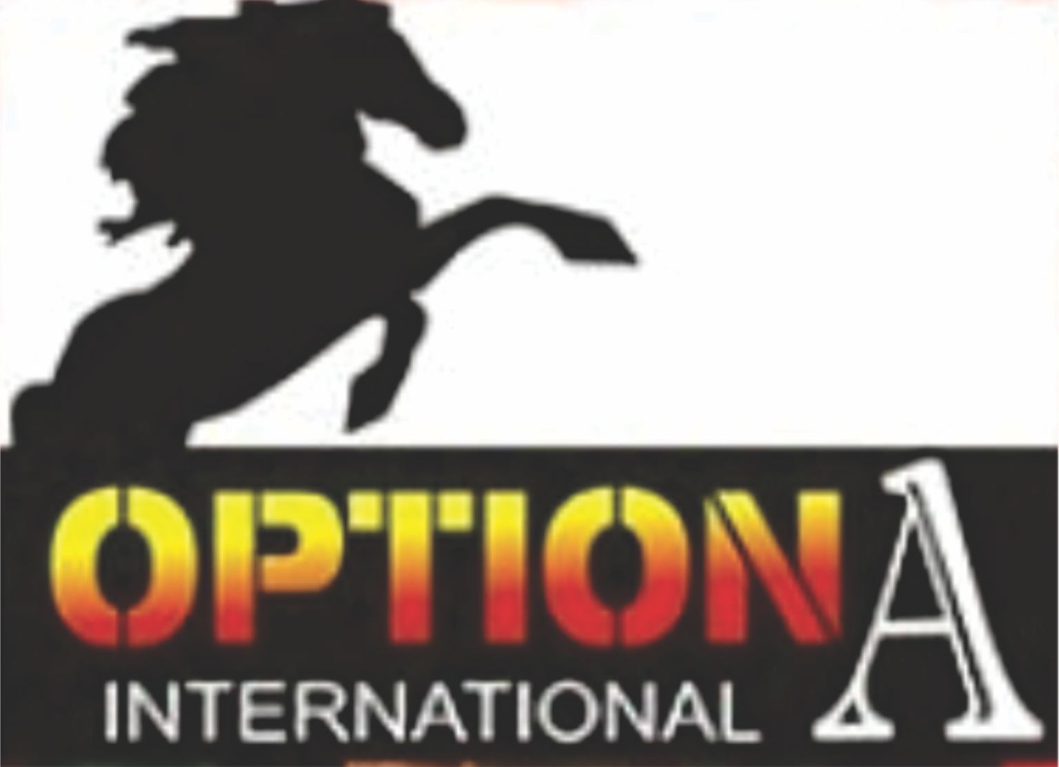 Project Pink Blue – Stimulating Actions Against Cancer